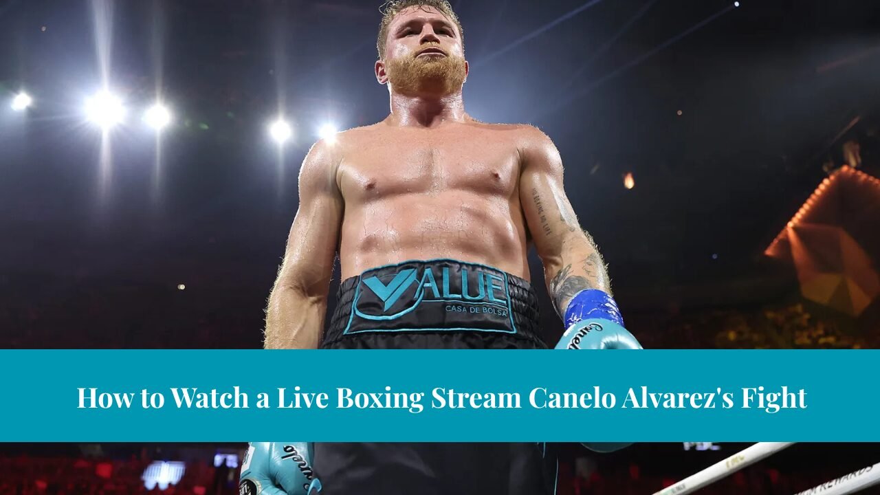 Boxing Live in 2025: How to Watch Every Major Fight Online