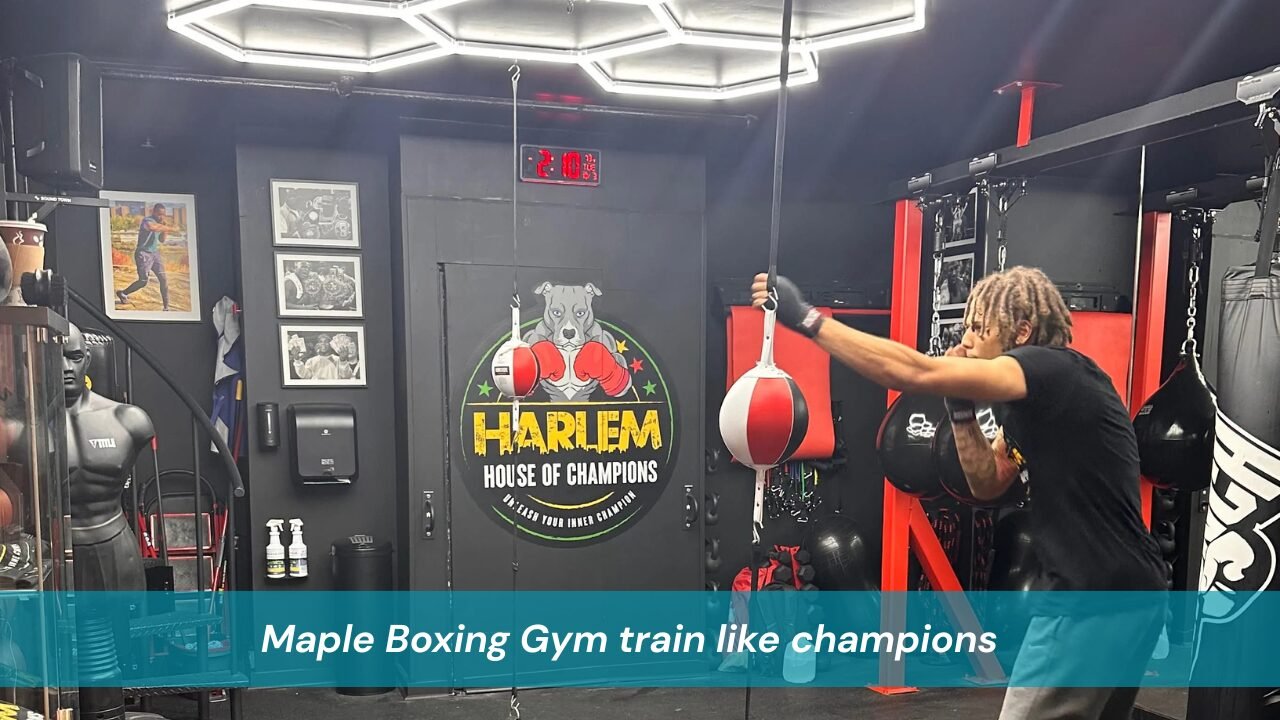 Maple Boxing Gym | Fitness, Training & Community