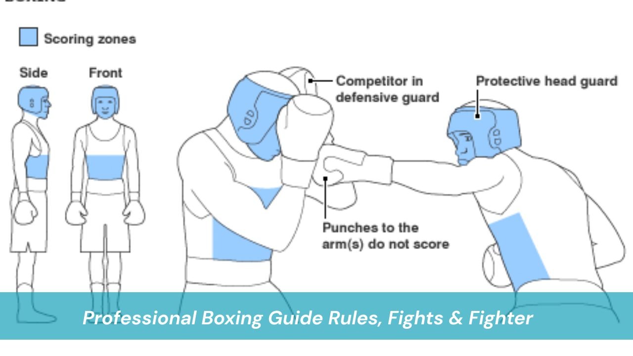 Professional Boxing Rules, History & How to Become a Boxer